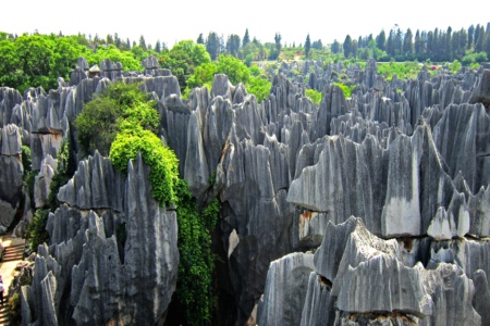 Shangri-La Exploration Tour